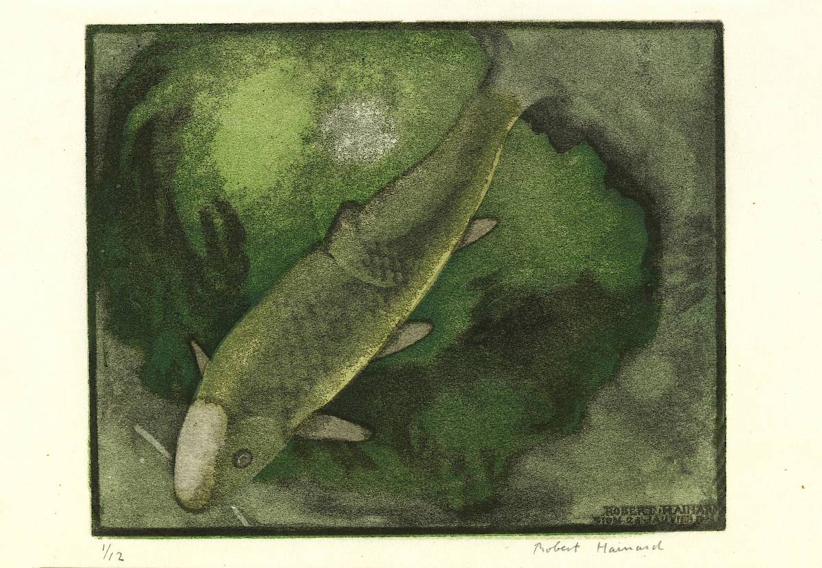 Collection – Hainard Foundation